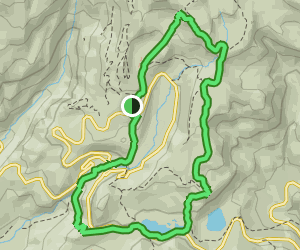 Narada Falls to Mazama Ridge Loop: 10.203 foto - Washington | AllTrails
