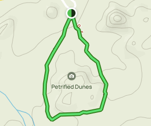 Redstone Dune Loop Trail: 101 Reviews, Map - Nevada | AllTrails