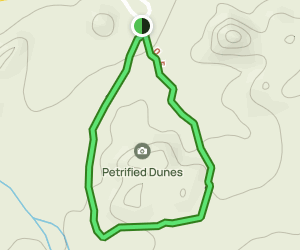 Redstone Dune Loop Trail: 102 Reviews, Map - Nevada | AllTrails