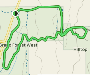 Grand Forest Park Trail: 909 Reviews, Map - Washington | AllTrails