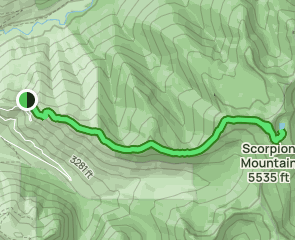 Johnson Ridge Trail: 218 Reviews, Map - Washington | AllTrails