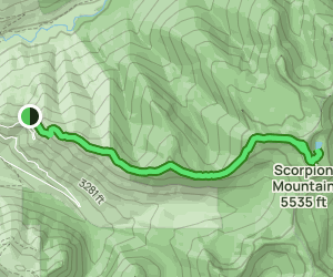 Johnson Ridge Trail: 208 Reviews, Map - Washington | AllTrails