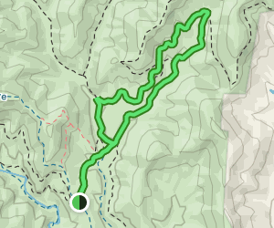 Bear Branch Loop Trail: 79 Reviews, Map - North Carolina | AllTrails