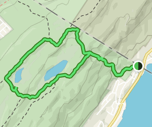 Surprise Lake Loop: 1239 Reviews, Map - New Jersey | AllTrails