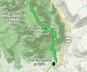 Wilson Mountain Trail: 992 Reviews, Map - Arizona | AllTrails