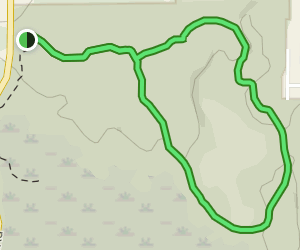 Pinhook Bog Upland Trail: 177 Reviews, Map - Indiana | AllTrails