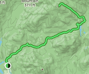 Mount Marshall via the Calamity Brook Trail: 707 Reviews, Map - New ...