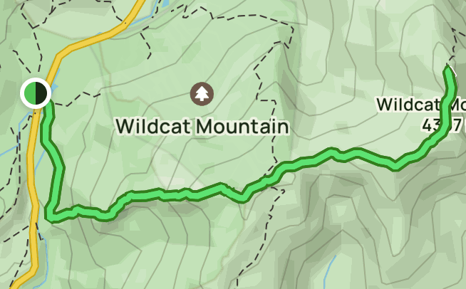 Summa Bitch I Am Wildcat