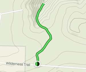 Jacob’s Stairway Bushwhack Route: 18 Reviews, Map - Arkansas | AllTrails