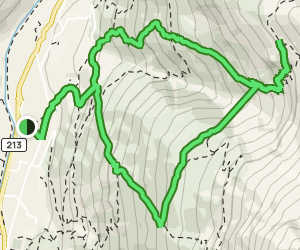 Randa - Europa Hut via Charles Kuonen Suspension Bridge: 302 foto's ...