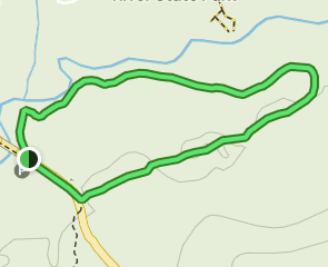 Chain of Lakes Trail, Florida - 159 Reviews, Map | AllTrails