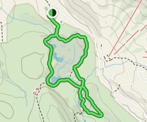Paradise Meadows Loop Trail: 152 Reviews, Map - British Columbia ...