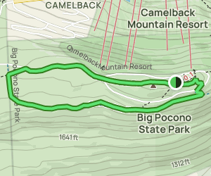 Camelback Mountain Loop Trail, 531 Fotos - Pensilvania | AllTrails