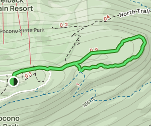 Big Pocono Indian Trail: 773 Reviews, Map - Pennsylvania | AllTrails