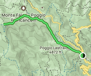 AllTrails | Monte Falco - Monte Falterona via Passo della Calla: 4 ...