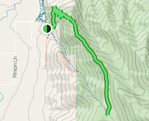Oakley Ridge Trail: 114 Reviews, Map - Utah | AllTrails