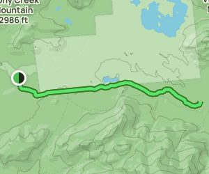 AllTrails | Blueberry Trail: 84 Reviews, Map - New York