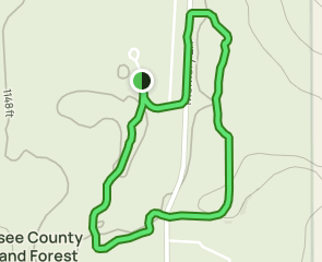 Genesee County Park and Forest Trail, New York - 259 Reviews, Map ...