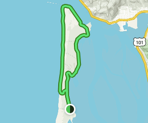Bayocean Peninsula: 583 Reviews, Map - Oregon | AllTrails