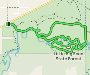 Little Big Econ State Forest Loop: 2.913 foto's - Florida | AllTrails