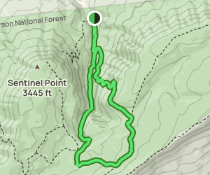 Mill Creek Falls Trail, Catwalk Trail, and Butternut Trail Loop: 239 ...