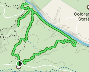 Cedar Chopper, Dogleg Canyon, Fourth Path, and Gorman Falls: 216 ...