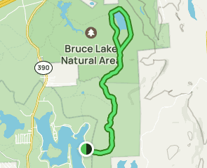 Bruce Lake Trail: 173 foto - Pennsylvania | AllTrails