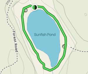 Sunfish Pond Trail: 17 Reviews, Map - Pennsylvania | AllTrails
