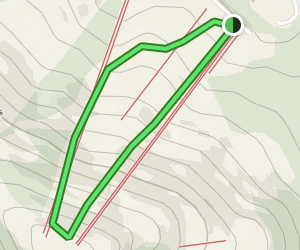 Elk Mountain Ski Area | Map, Guide - Pennsylvania | AllTrails