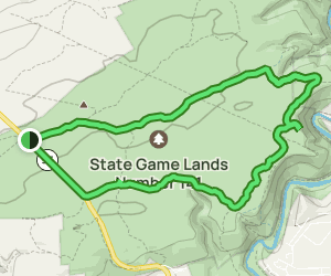 Broad Mountain: 80 Reviews, Map - Pennsylvania | AllTrails