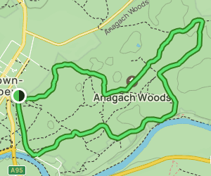 Anagach Woods Circular: 90 Reviews, Map - Highlands, Scotland | AllTrails
