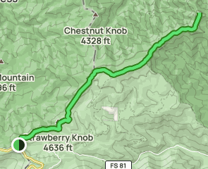 Bob Stratton's Bald and Hangover, North Carolina - 119 Reviews, Map ...