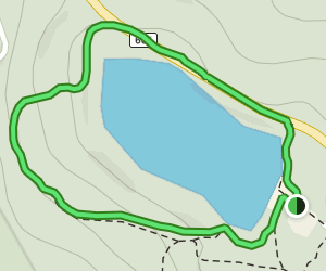 Mount Hope Pond: 32 Reviews, Map - New Jersey | AllTrails