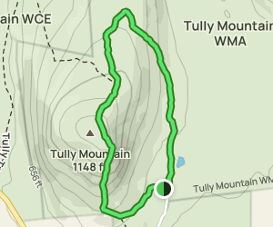 Tully Mountain Loop Trail: 381 Reviews, Map - Massachusetts | AllTrails