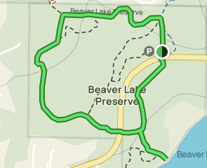 Beaver Lake Park Trail: 201 Reviews, Map - Washington | AllTrails