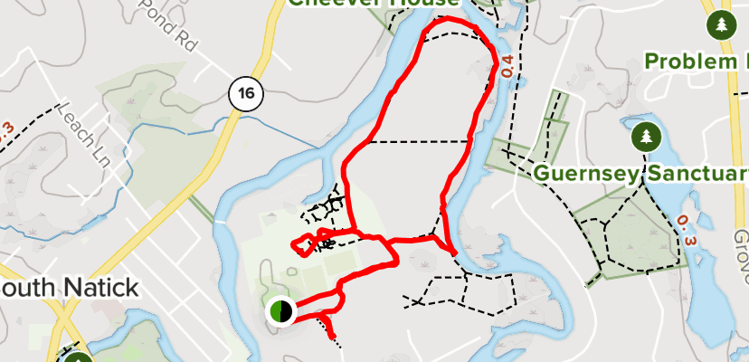 Are Dogs Allowed At Elm Bank