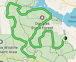 Ridge-Wallis-Mid State Trail, Massachusetts - 116 Reviews, Map | AllTrails