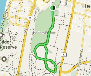 Hadera Forest and Sharon Park: 4 Reviews, Map - Haifa, Israel | AllTrails
