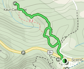 Arataki Nature Trail, Auckland, New Zealand - 74 Reviews, Map | AllTrails