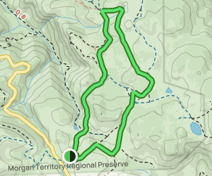 Volvon and Condor Trail Loop: 128 Reviews, Map - California | AllTrails