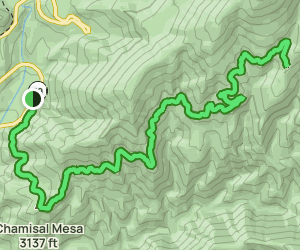 Chamisal Mesa via Pigeon Ridge Fire Road: 108 fotos - Califórnia ...