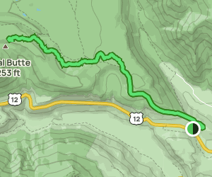 Spiral Butte Trail: 11 foto's - Washington | AllTrails