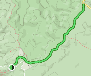 Cutty Grass Track: 32 Reviews, Map - Auckland, New Zealand | AllTrails