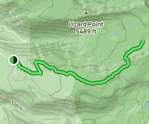 Bingham Ridge Trail: 38 Reviews, Map - Oregon | AllTrails