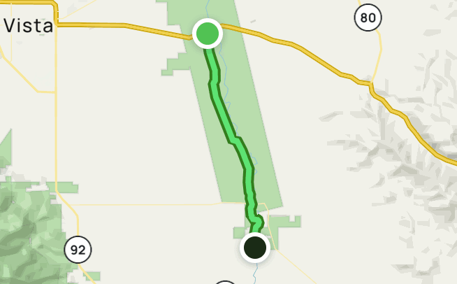 San Pedro River Valley Trees