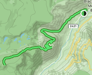 Hellroaring Plateau Trail: 40 Reviews, Map - Montana | AllTrails