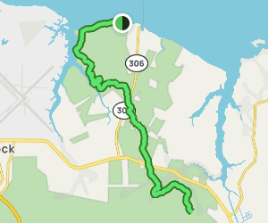 Neusiok Trail Northern Half: 141 Reviews, Map - North Carolina | AllTrails