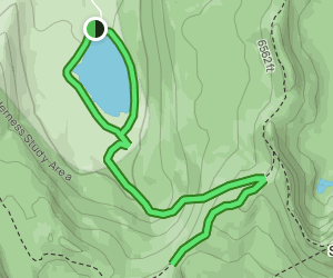 Big Therriault Lake to Therriault Pass Loop: 14 Reviews, Map - Montana ...
