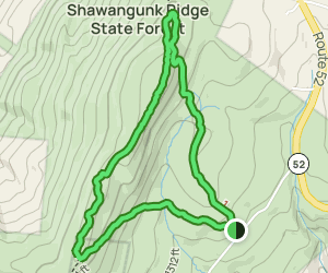 Red Trail and Shawangunk Ridge Trail Loop: 971 foto - New York | AllTrails