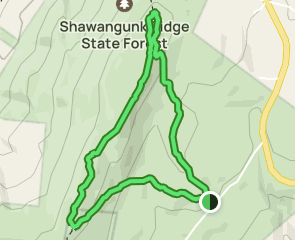 Red Trail and Shawangunk Ridge Trail Loop: 660 Reviews, Map - New York ...